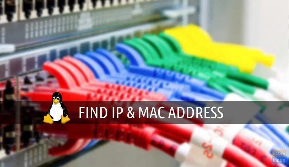 كيفية العثور على عنوان IP وMAC عن طريق سطر الأوامر في Linux | GNU/Linux Revolution